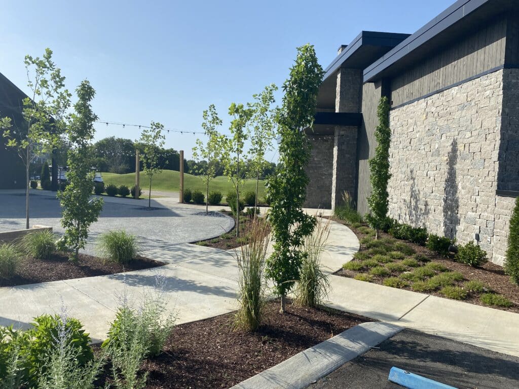 Completed Projects | L.A Scapes